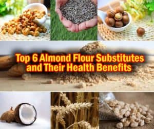 Almond Floor Substitute: Best Ever List for Almond Floor Substitutes